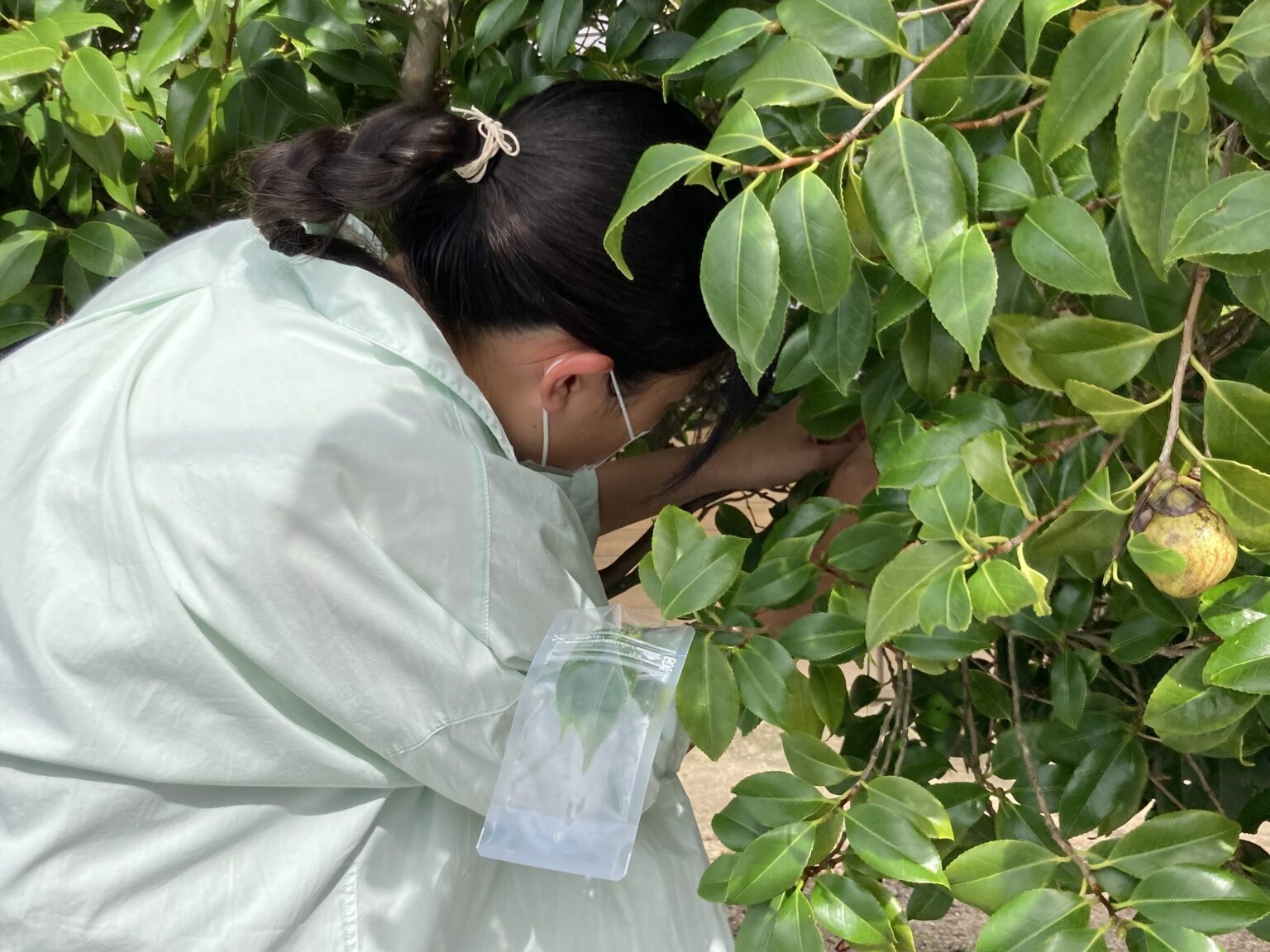 APCG 2024 | APCG 2024